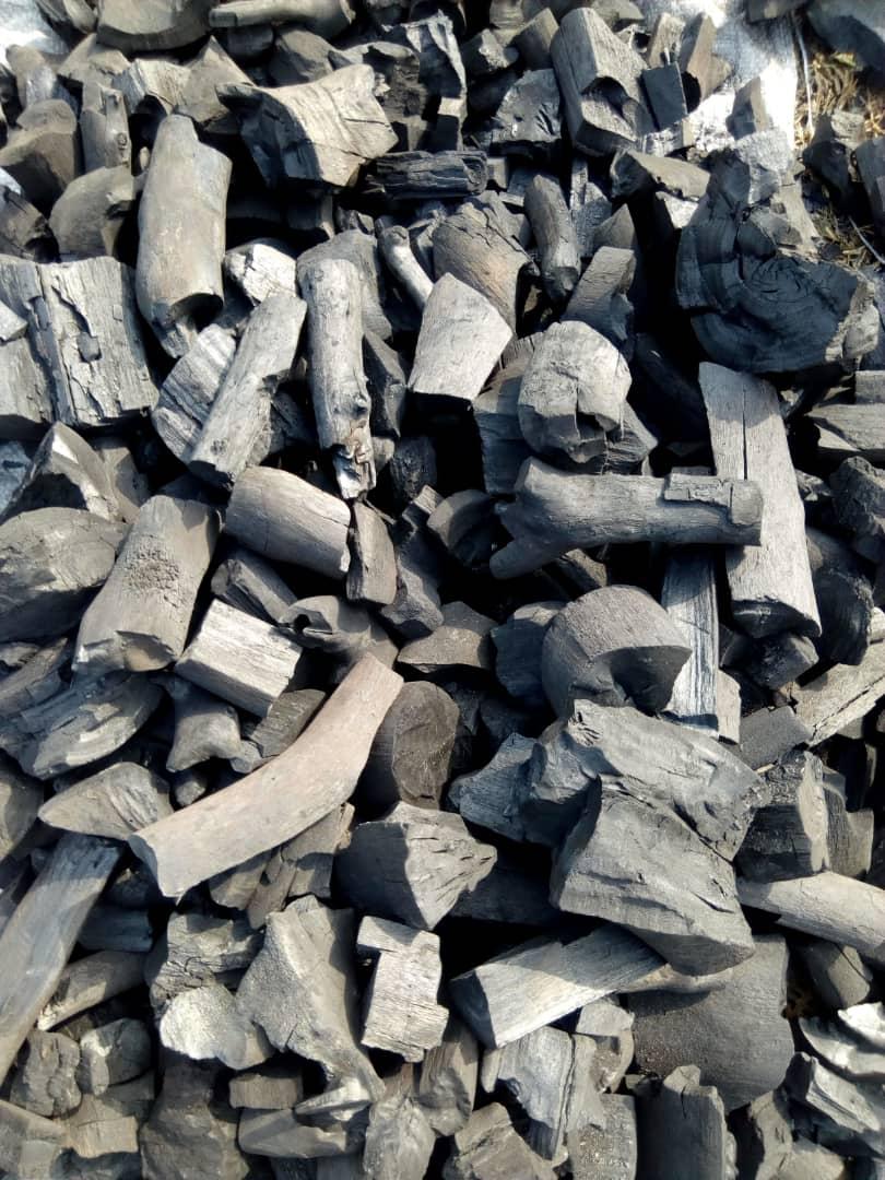 CHARCOAL - Fuel, cosmetics and more. Uses and benefits - TOSK Global ...