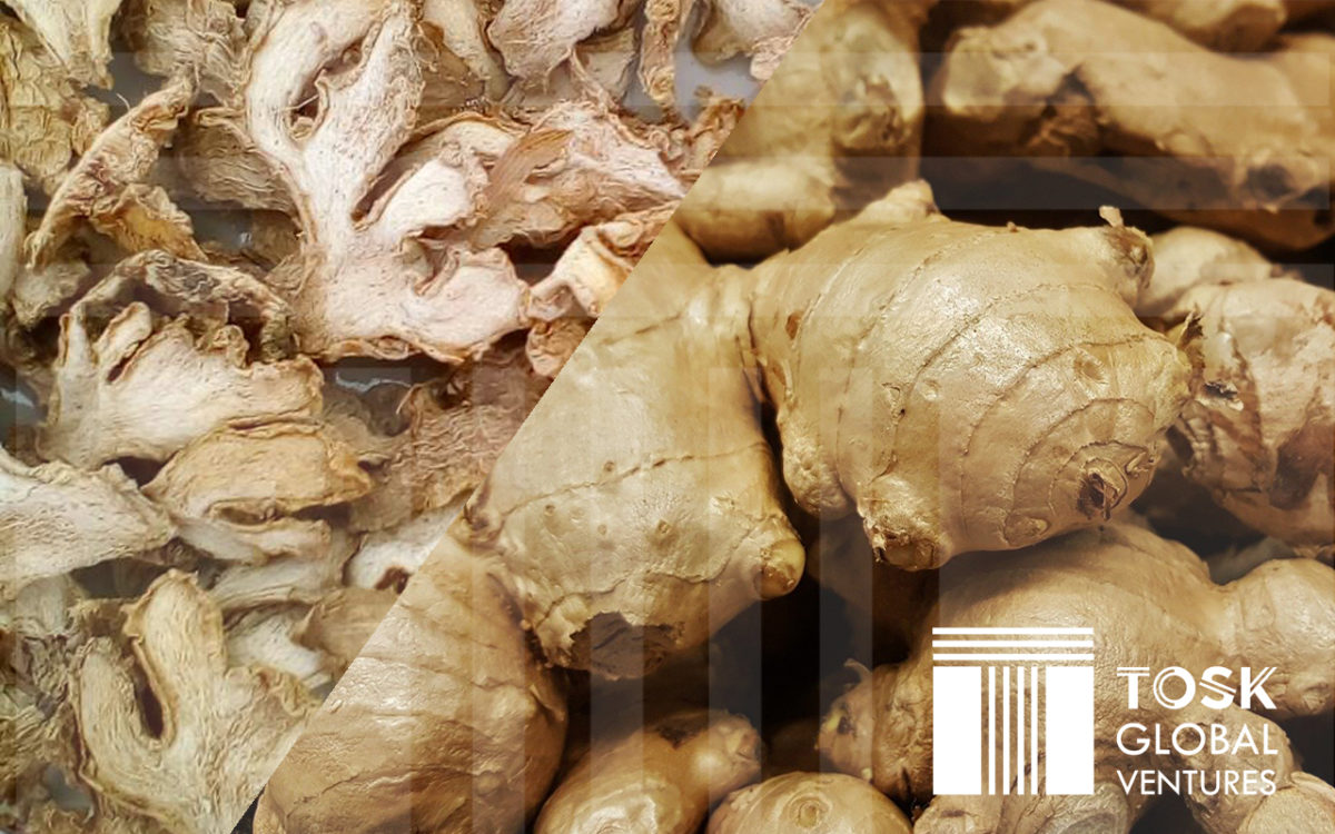 GINGER VERSATILITY - Types, Uses and Benefits - TOSK Global Ventures