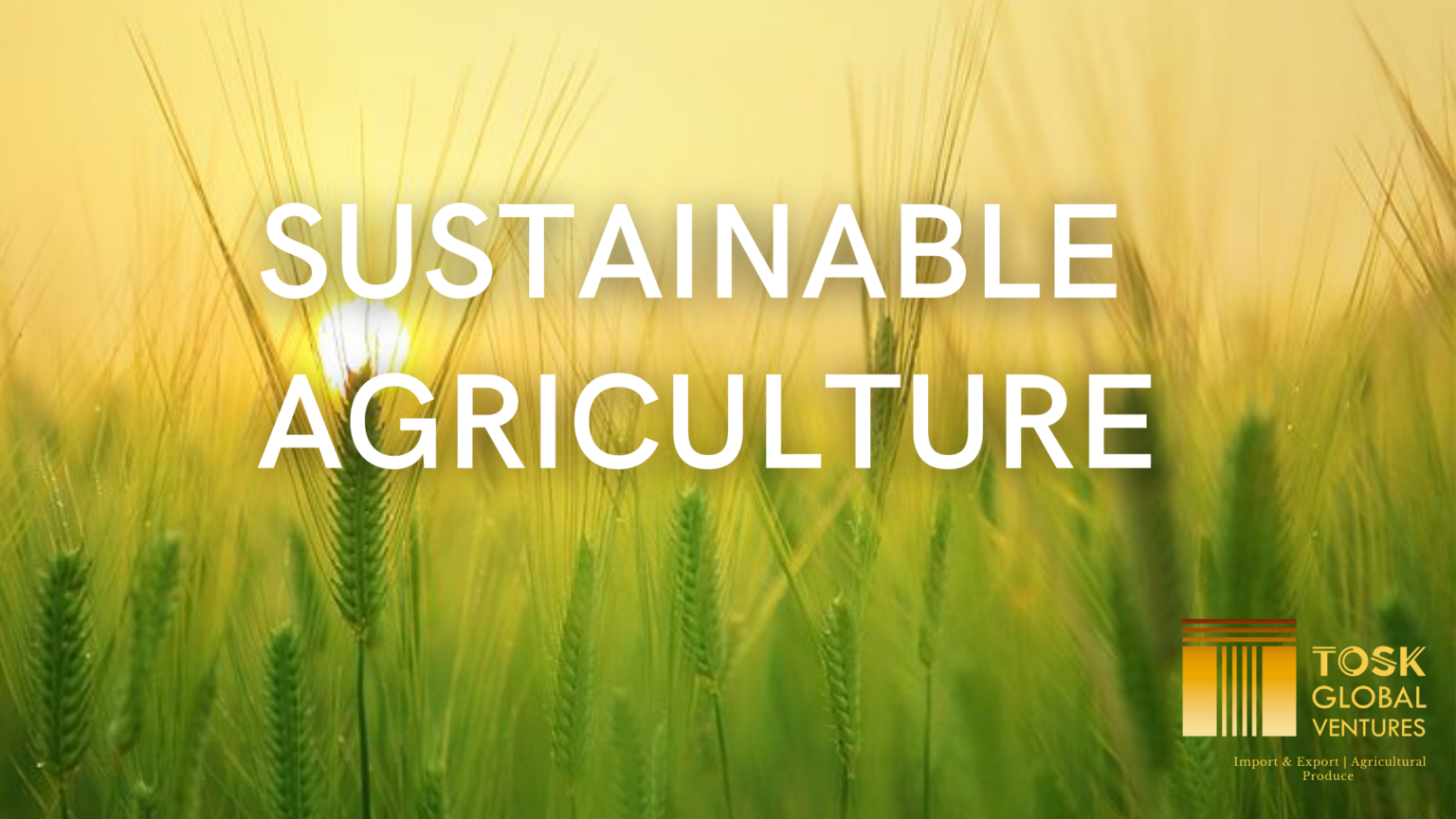 Sustainable Agriculture - From Farm to Table - TOSK Global Ventures